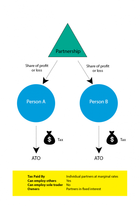 Is a Partnership Business Structure right for you? | Lemonade Beach